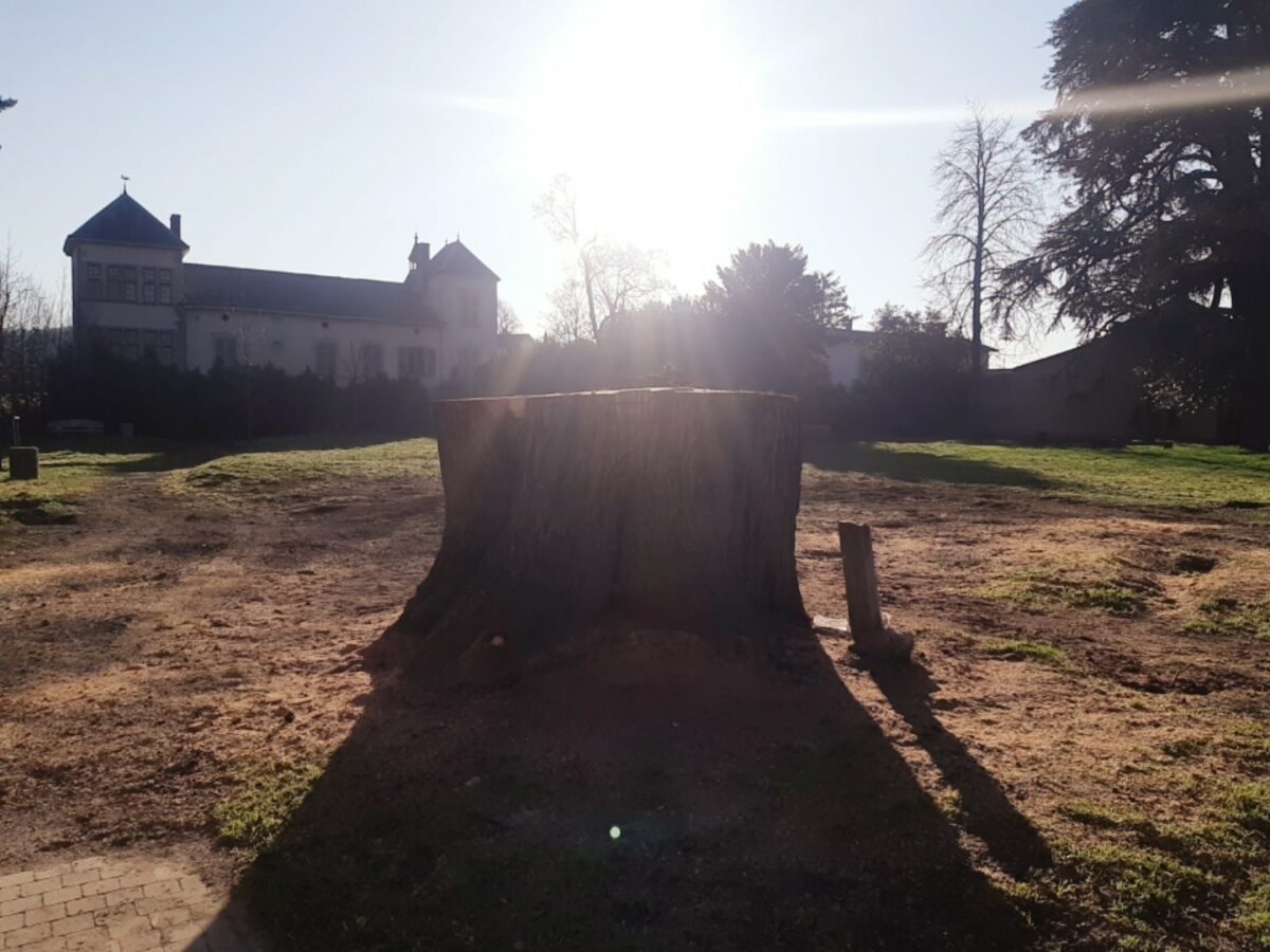 Parc de Rancé : nous avons besoin de vous ! - Genay “De peur je n’ay”